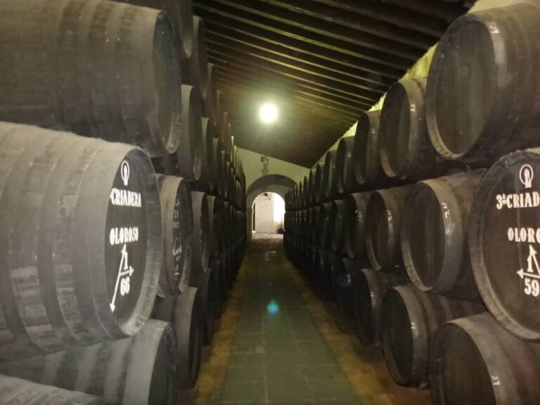 ¿Qué son los vinos generosos? Caracterísitcas y maridajes